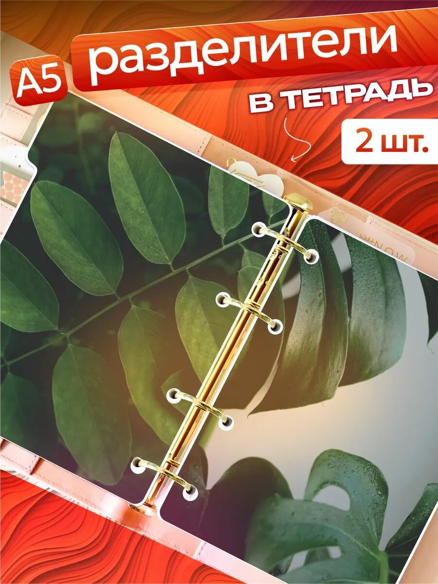 Разделители для тетради на кольцах Эстетика