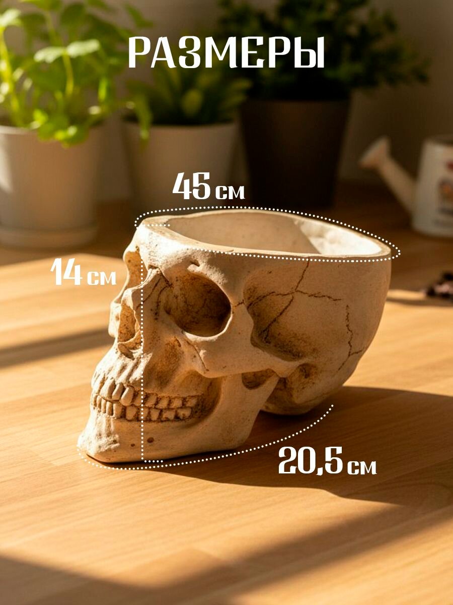 Череп декоративный, конфетница, ключница, кашпо