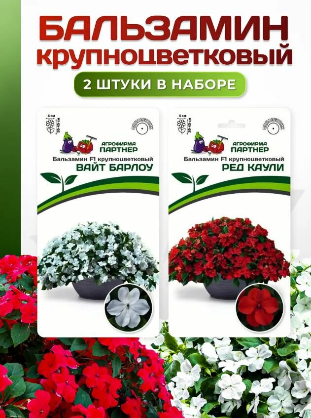 Семена набор бальзамин Уоллера Вайт барлоу Ред каули - Вайт барлоу, Ред каули