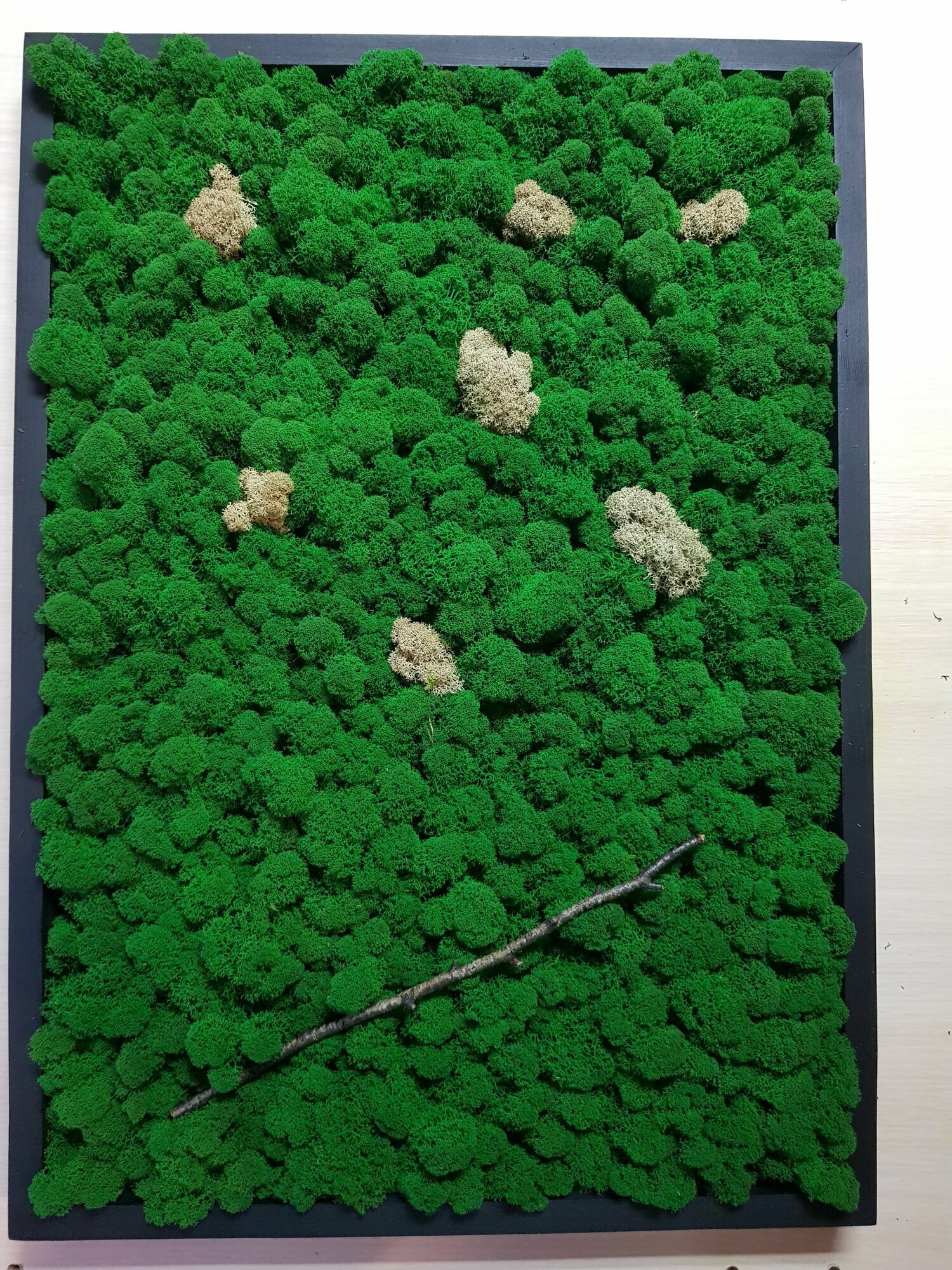 Панно из мха/70*50/Одинокий пастух