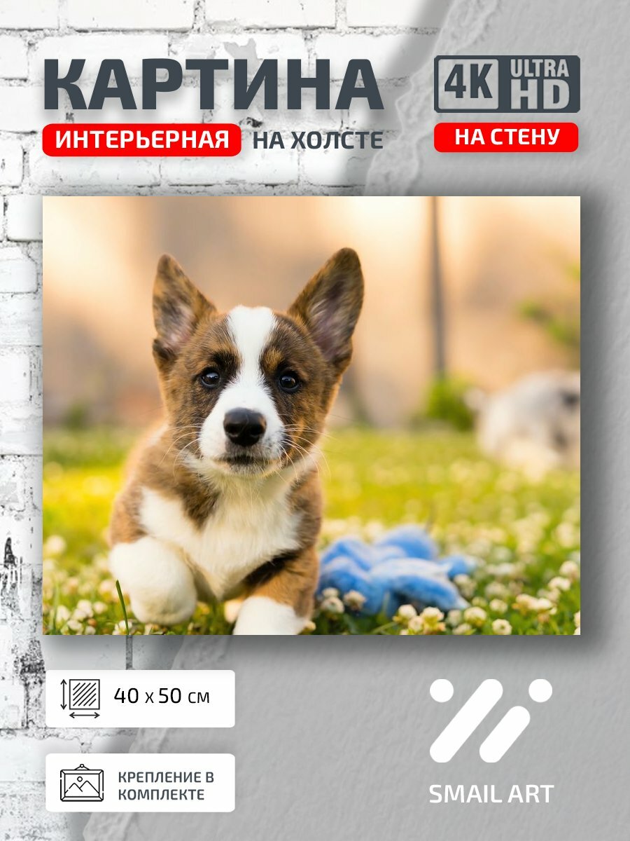 Картина на холсте интерьерная 40 на 50 на стену Лужайка Animal для спальни animal style