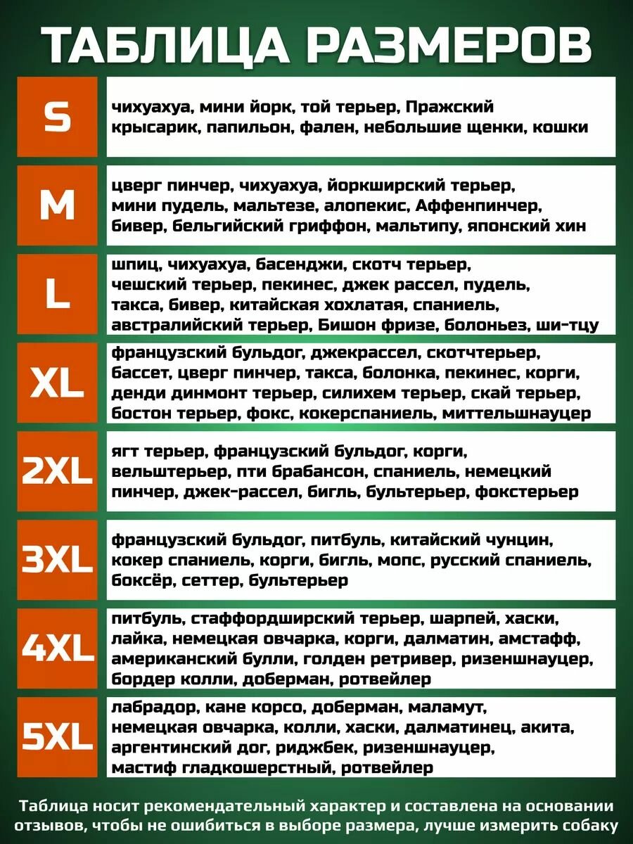 Одежда для животных — фото 1