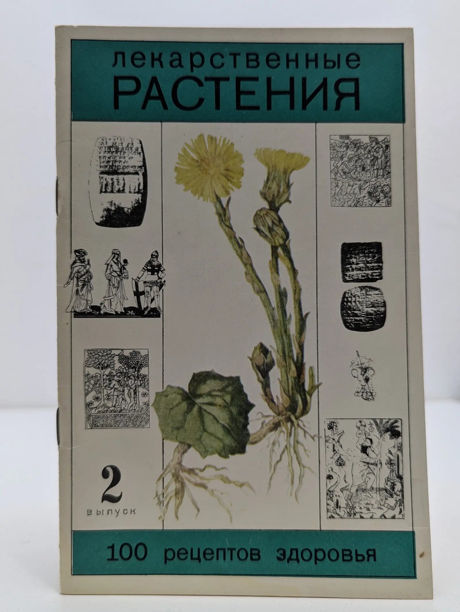 Лекарственные растения. 100 рецептов здоровья. Выпуск № 2 Самсонова А. В. (сост.) 1990