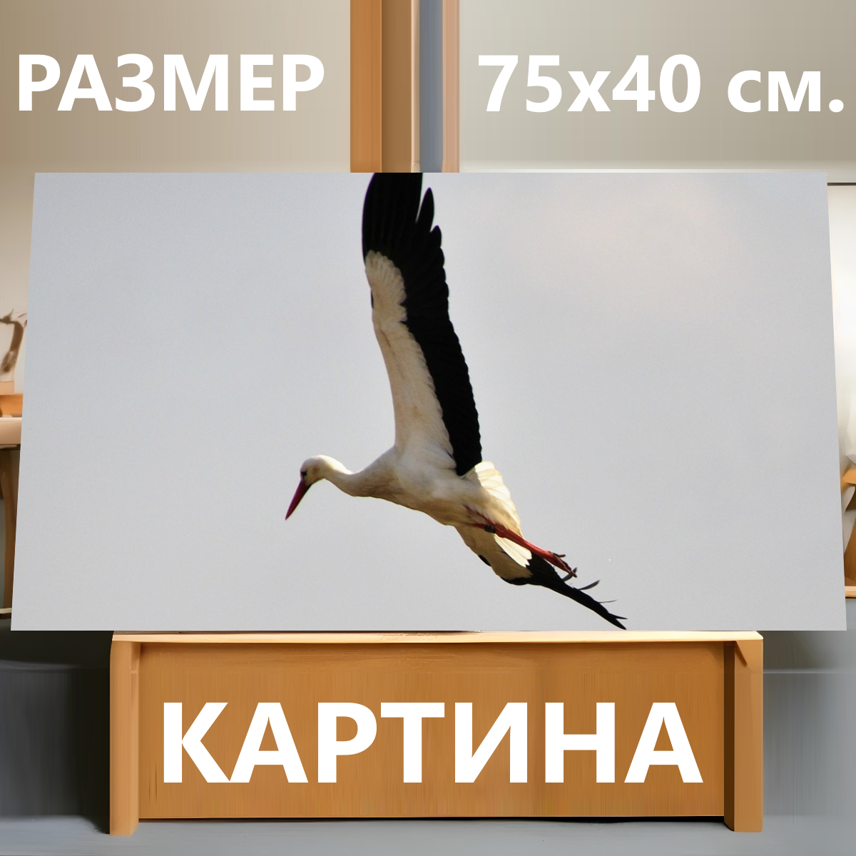Картина на холсте "Аист, птица, аисты" на подрамнике 75х40 см. для интерьера
