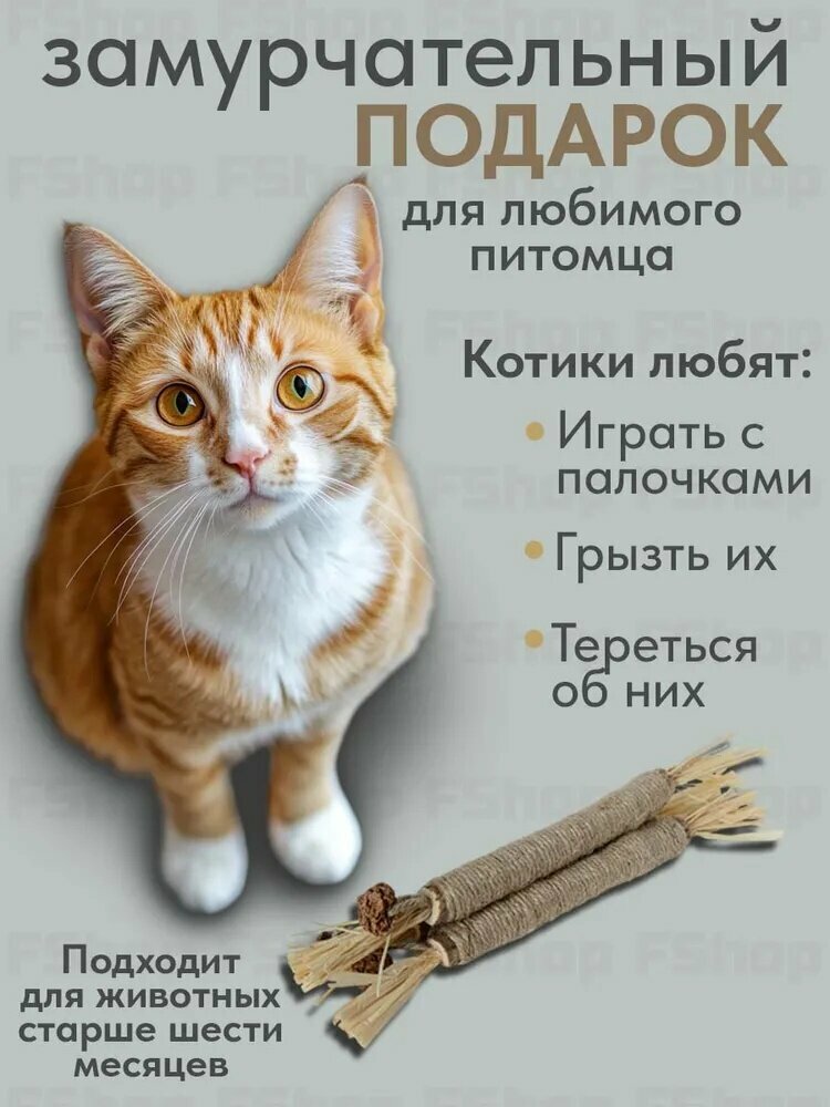 Кошачья мята / Палочки мататаби с плодом мататаби 3 штуки с веревкой, Лакомство для кошек, Игрушка для котят и котов с витаминами