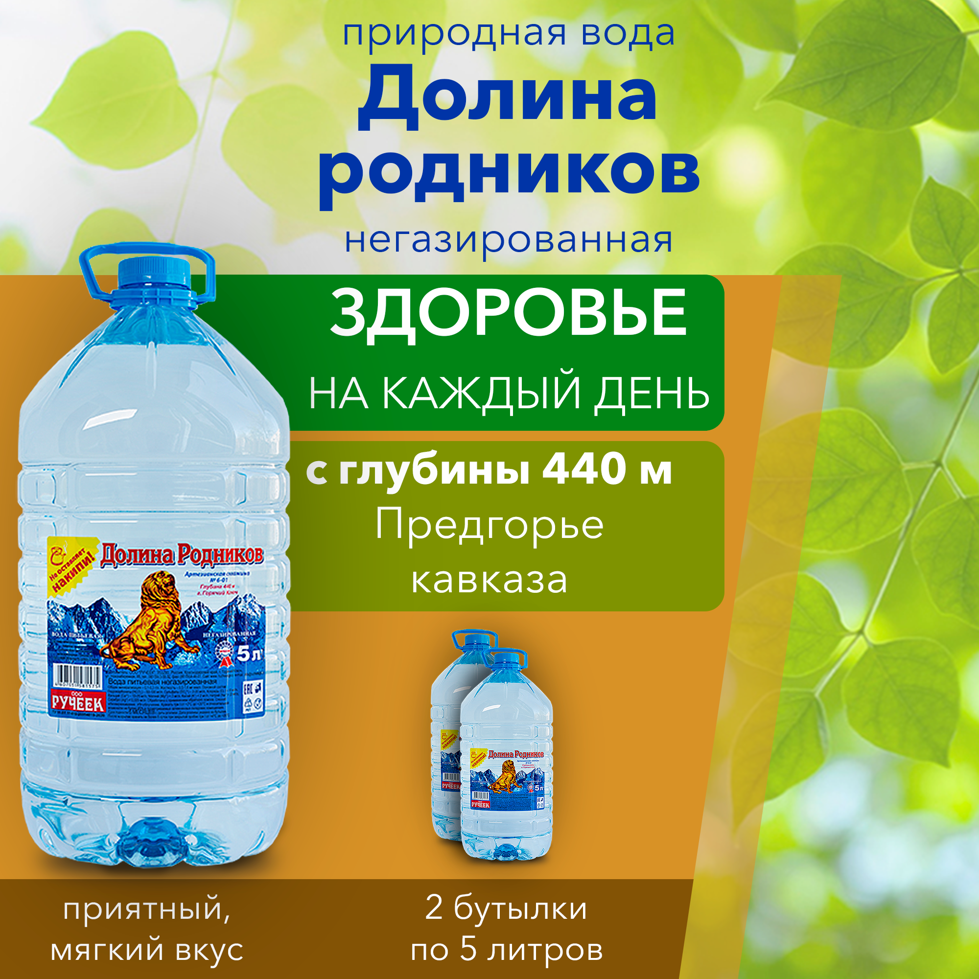 Вода Долина Родников с серебром. Объем 5л*2. Ручеек, негазированная, Вода минеральная питьевая природная лечебная