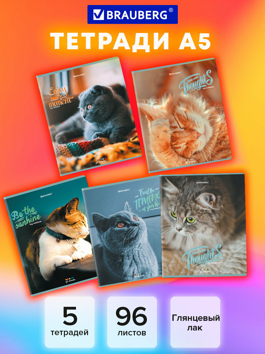 Тетрадь 96 листов в клетку А5 Brauberg, скоба, клетка, SoftTouch, фольга, Nature 404693