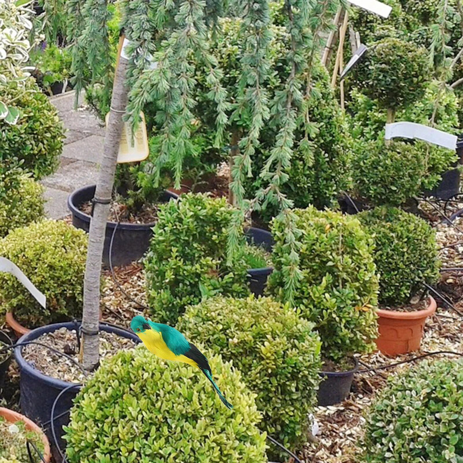 Искусственный попугай из пластика