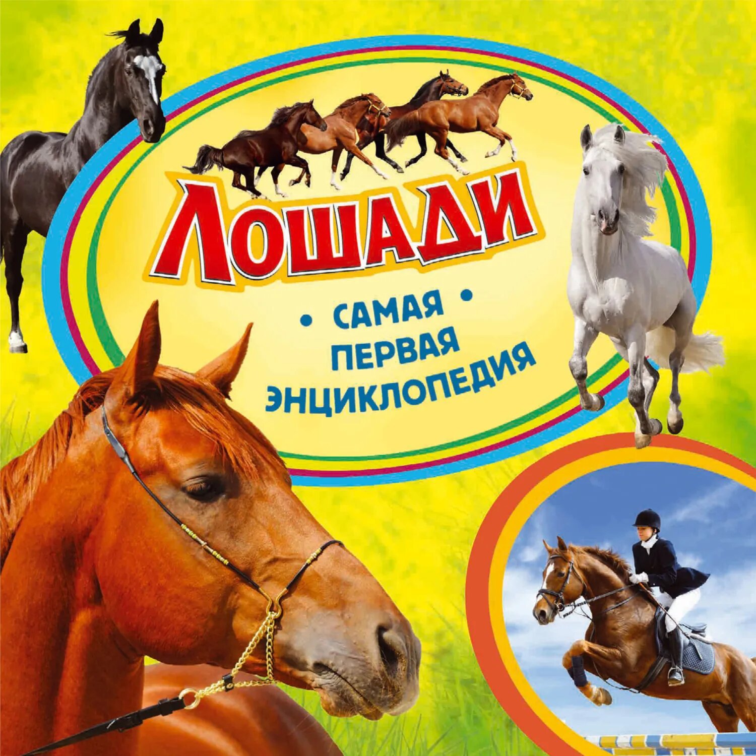Лошади [Цифровая книга]