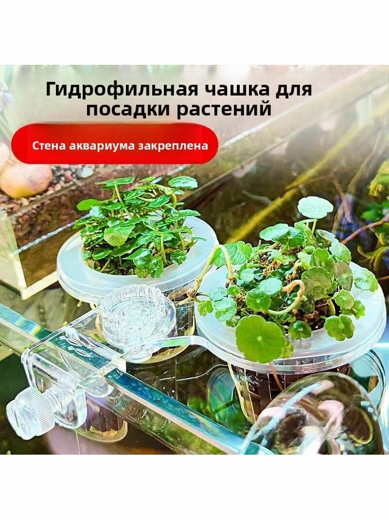 Аквариумное растение гидропонное двойное корзина, высокопрозрачный акриловый материал