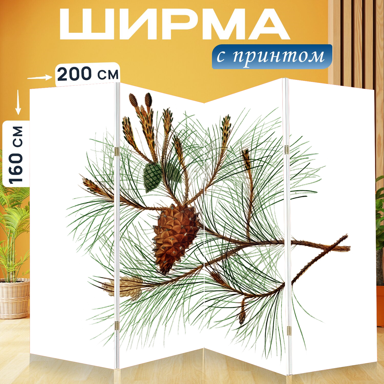 Ширма "Винтажный клипарт еловые ветки шишек Еловая ветка шишки ветка сосна ель винтаж клипарт наклейка с." перегородка для зонирования комнаты с принтом 200x160 см. на холсте