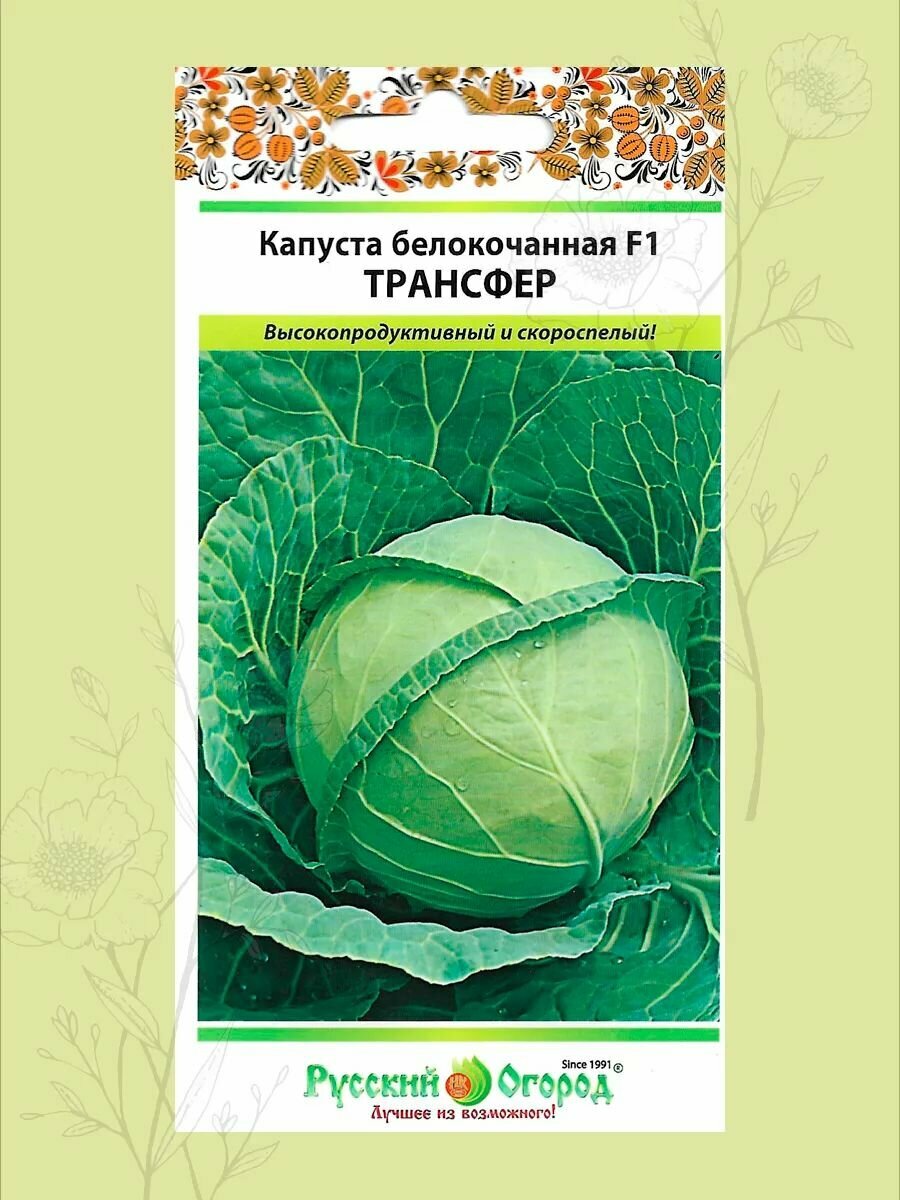 Семена капуста белокочанная Трансфер F1 - раннеспелая. Русский Огород.