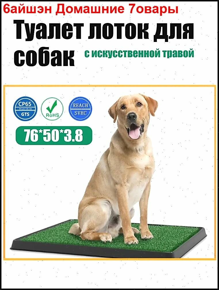 Туалет лоток для собак с искусственной травой