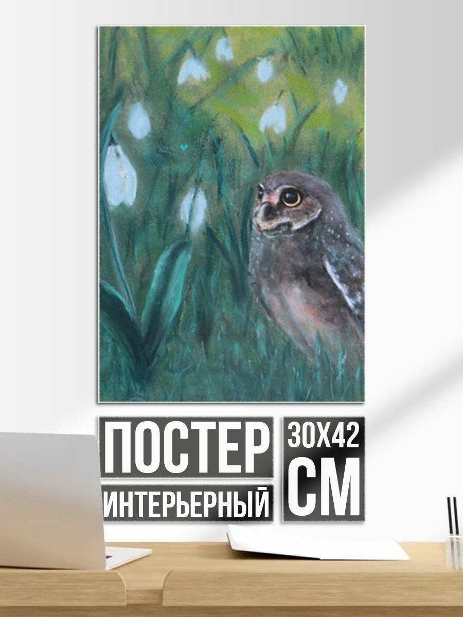 Постер на стену Сова среди подснежников