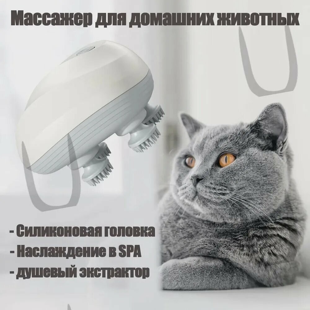 Портативная электрическая игрушка для массажа кошек(Массажер, которым вы также можете пользоваться самостоятельно) / Usb-зарядка / 1200 мАчOU