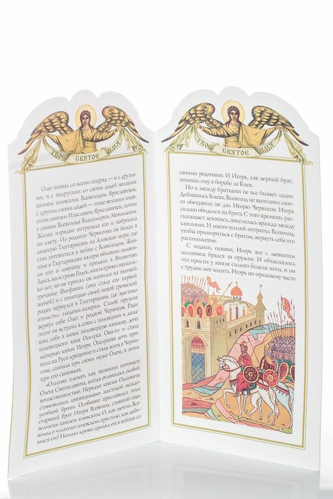 Игорь. Книга-подарок — фото 1