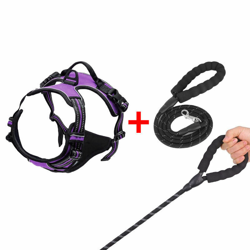 Поводок для собак, поводок для кроликов, выдвижной поводок для французского бульдога, питбуля, бордер-колли, бультерьера, ночной прогулочный светоотражающий нейлоновый нагрудный ремень от фабрики