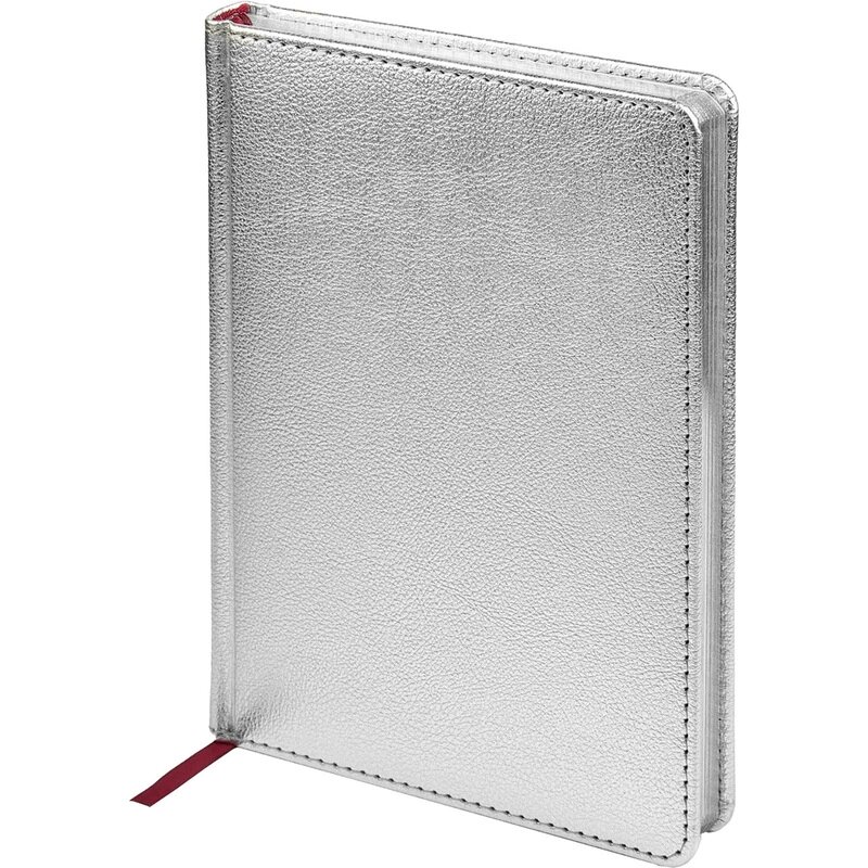 Ежедневник недатированный Sidney Nebraska, А5, 136л, серебро 3-128/10