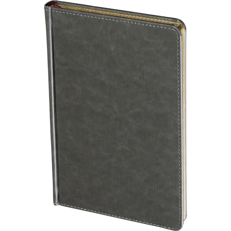 Ежедневник недатированный серый, А5,145х205мм,136л, Sidney NEBRASKA 3-128/09