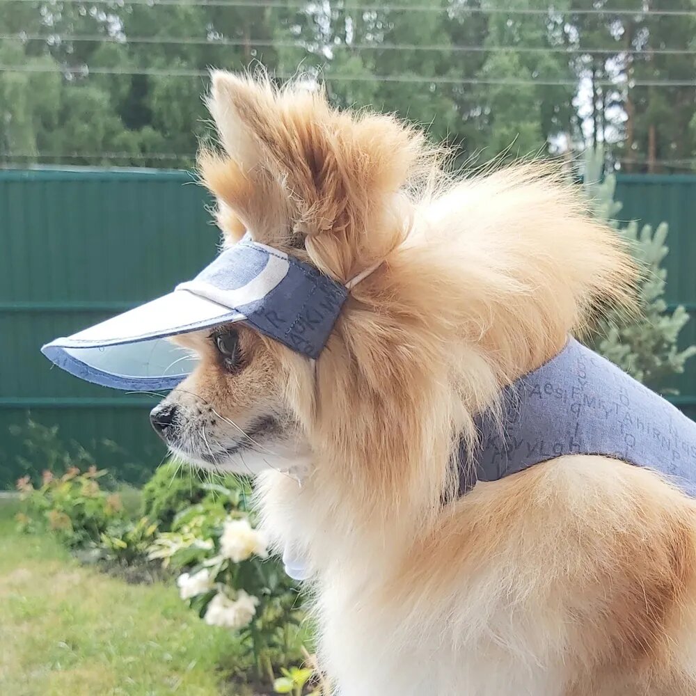 Кепка для кошек и собак мелких пород. Размер М (для собаки весом 3-4 кг). Кепка для таксы. Кепи для йорка. Шляпа для чихуахуа. Бейсболка для шпица.