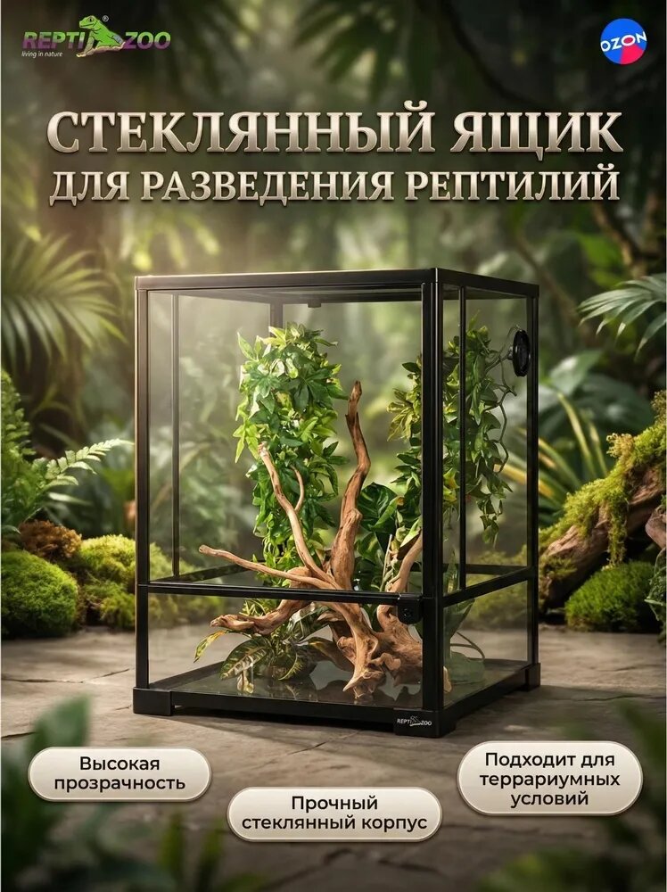 Стеклянный ящик для разведения домашних животных reptizoo climbing (45x45x60 см)