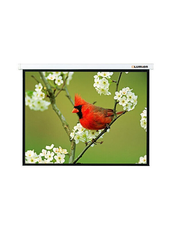 Рулонный матовый белый экран Lumien Master Picture LMP-100108
