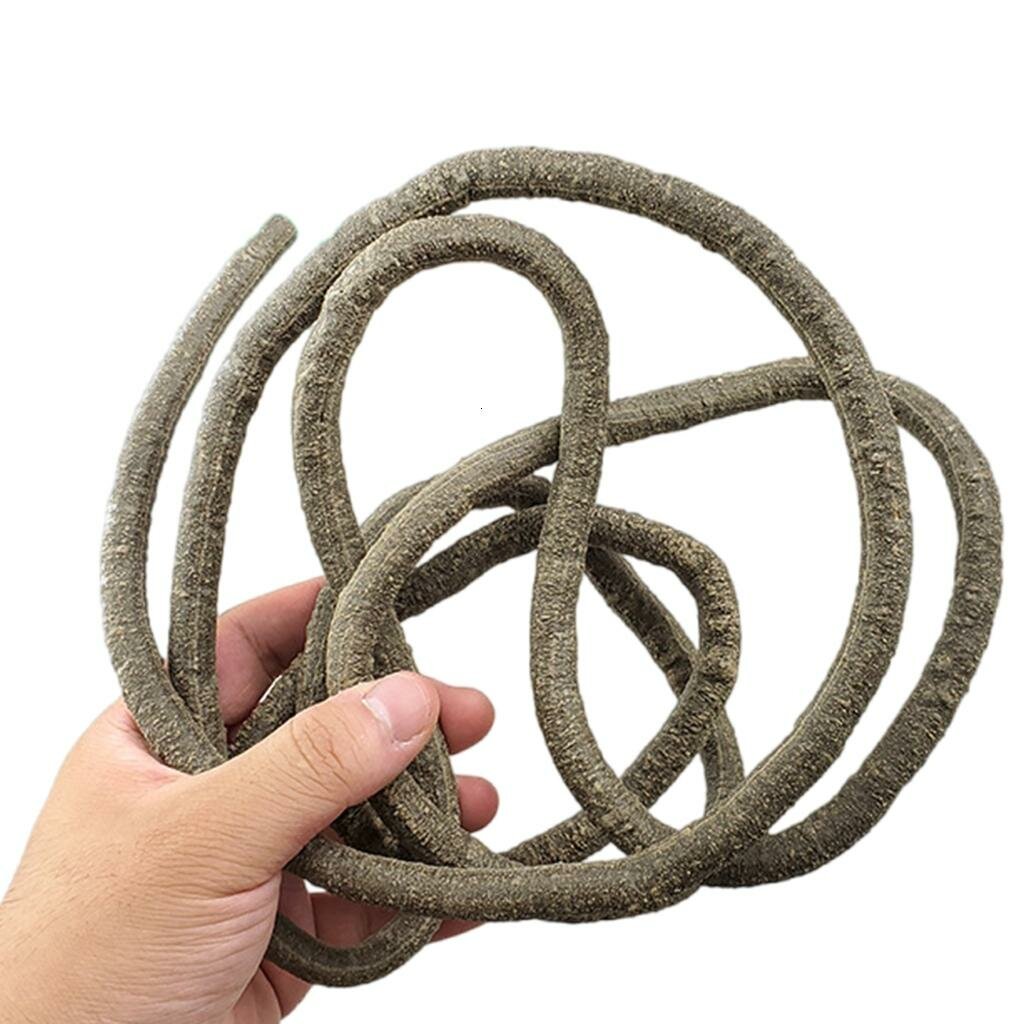 Искусственная лиана для террариума, Маленькое дерево с виноградной лозой на лбу