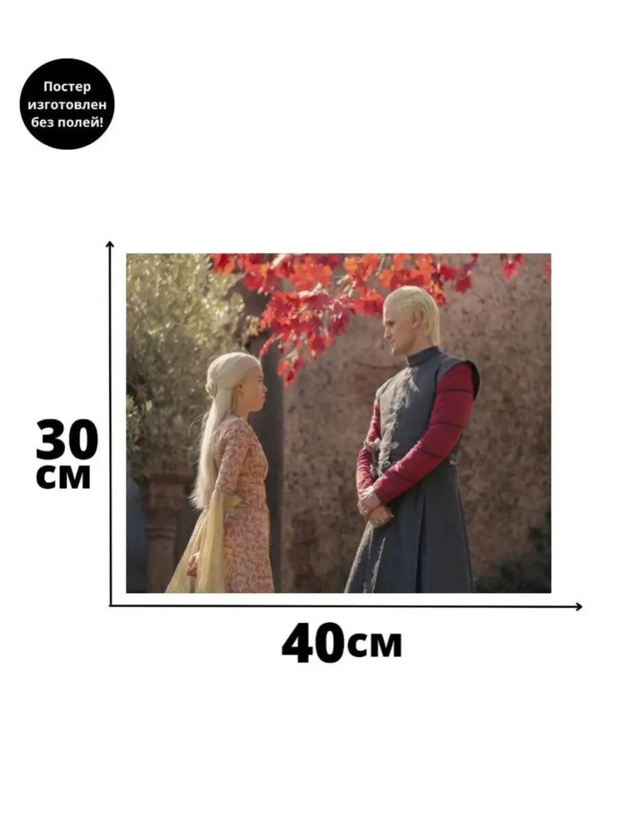 Постер Дом Дракона Рейнира Деймон