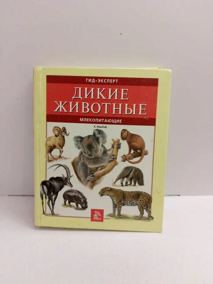 Дикие животные. Млекопитающие