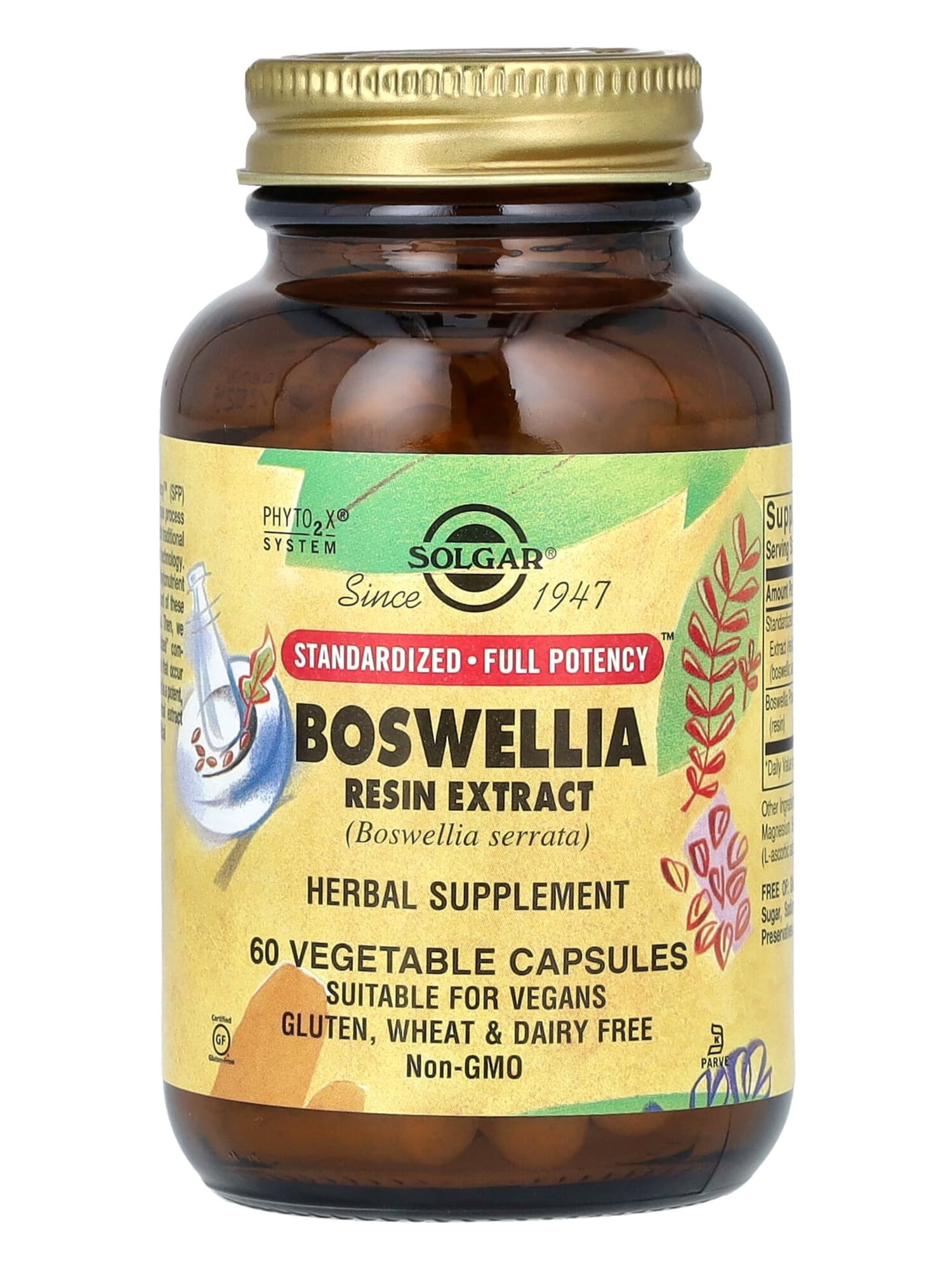 Solgar Boswellia Resin Extract, Экстракт смолы Босвеллия 60 капсул