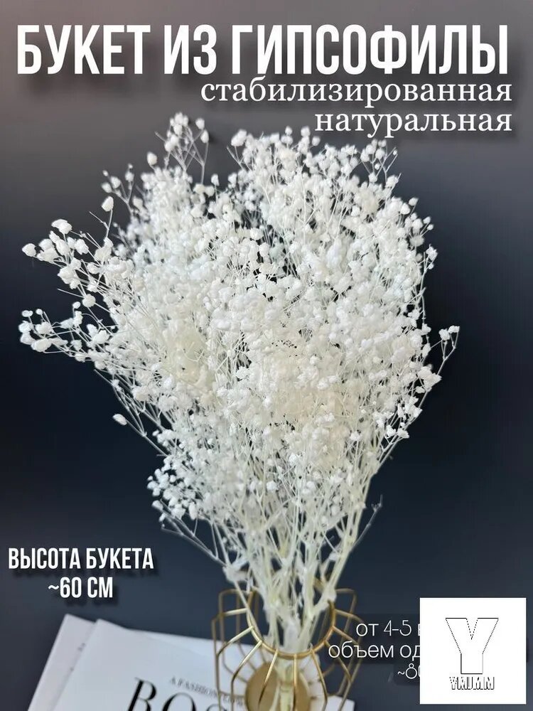 Стабилизированные цветы Гипсофила, 75 см, 80 гр
