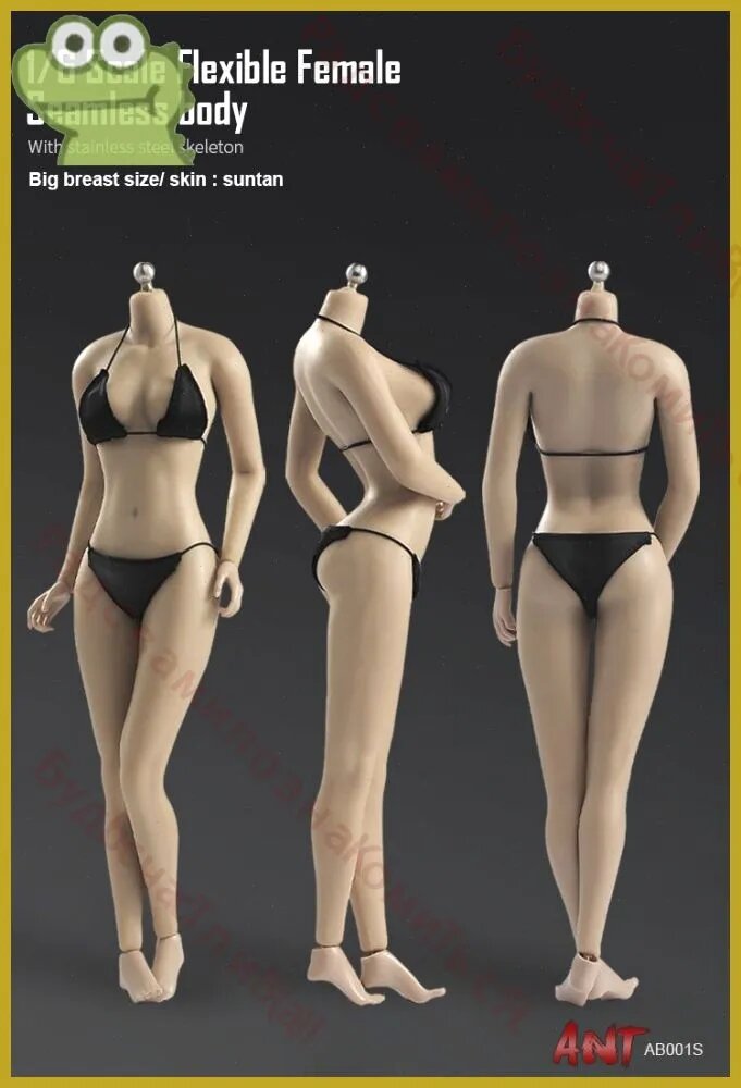 Большая грудь Пшеничная женщина Body Toy ANT AB001S 1:6