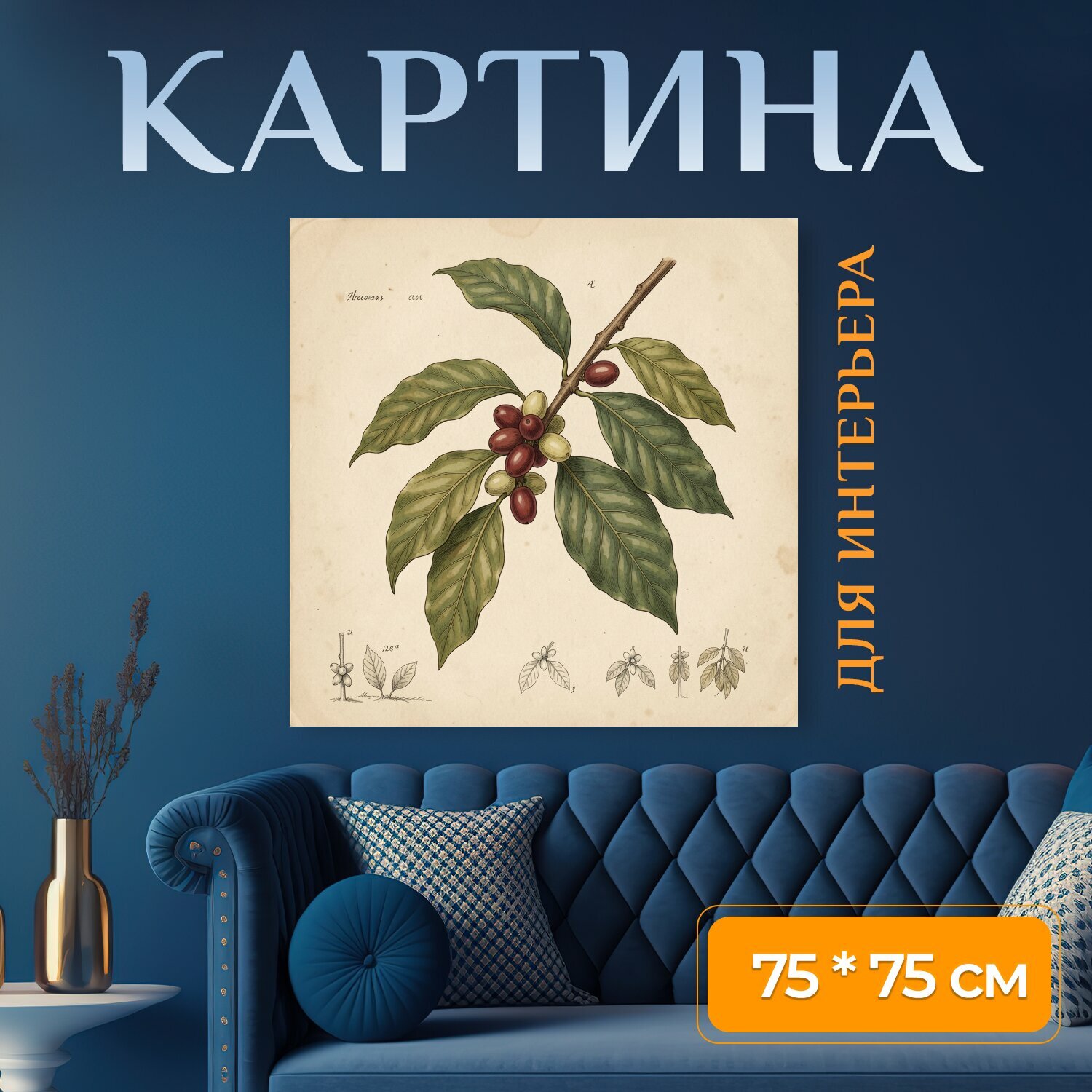 Картина на холсте "Ветвь кофейного дерева с ягодами. Ботаническая иллюстрация кофейного растения с крупными зелёными листьями и спелыми." на подрамнике 75х75 см. для интерьера