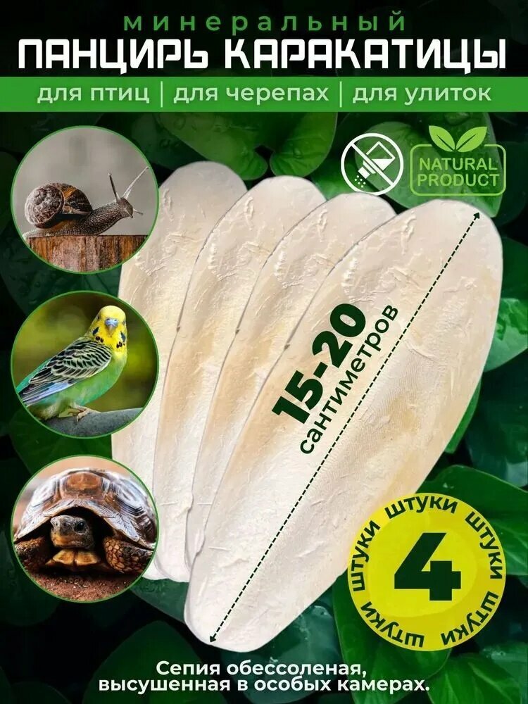 Сепия 4 шт- Панцирь каракатицы, 15-20см.