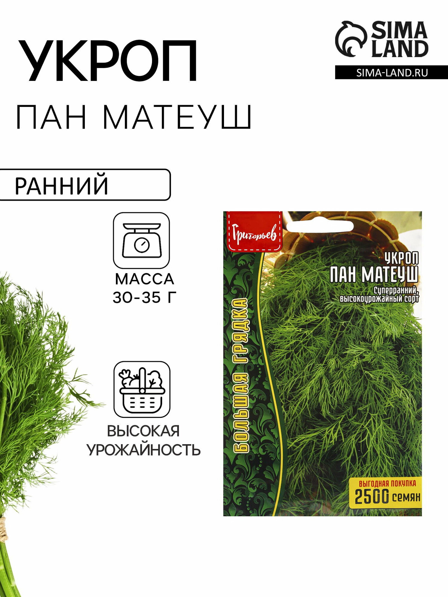 Семена Укроп "Пан Матеуш" быстроотрастающий, 2500 шт, посев (посадка) в грунт: апрель