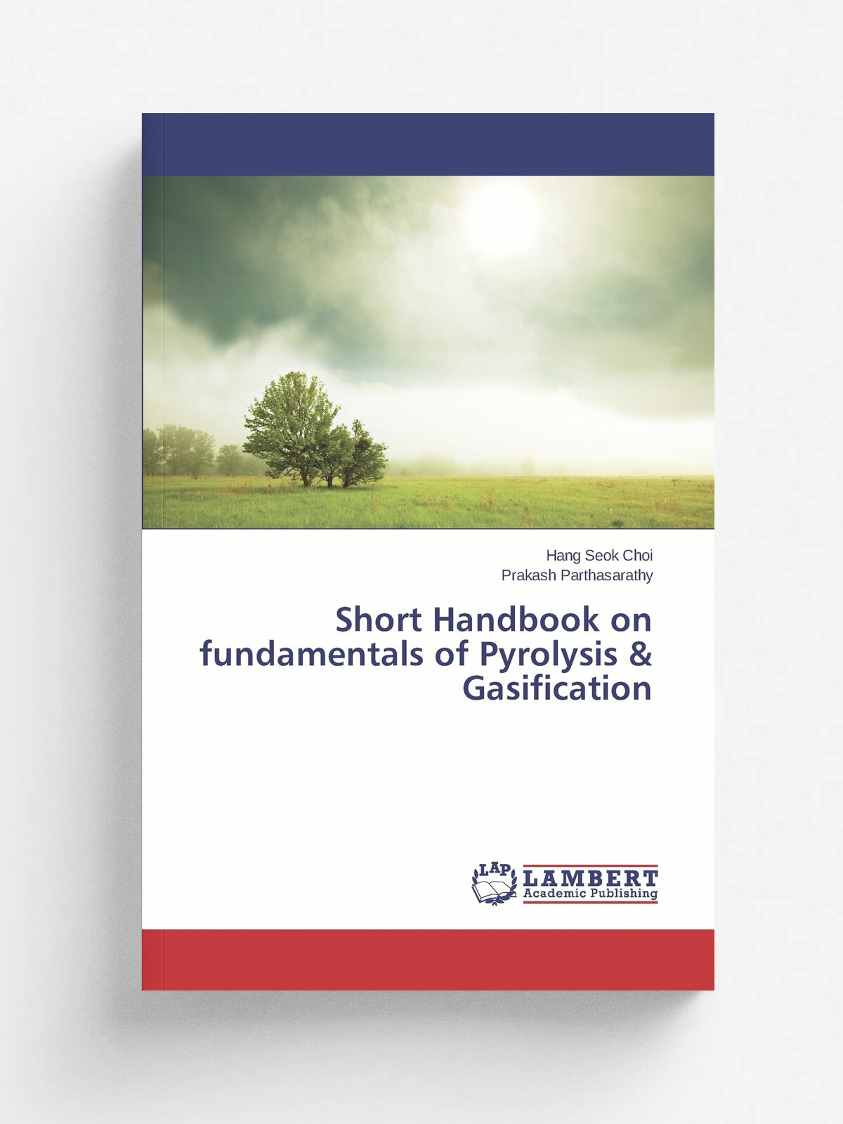Short Handbook on fundamentals of Pyrolysis & Gasification