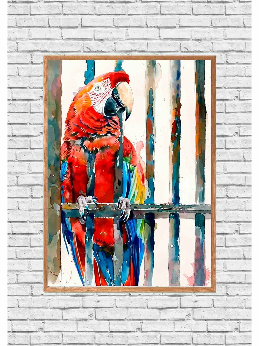 Птица Ара - преступник в тюрьме 0, Плакат 30x42см