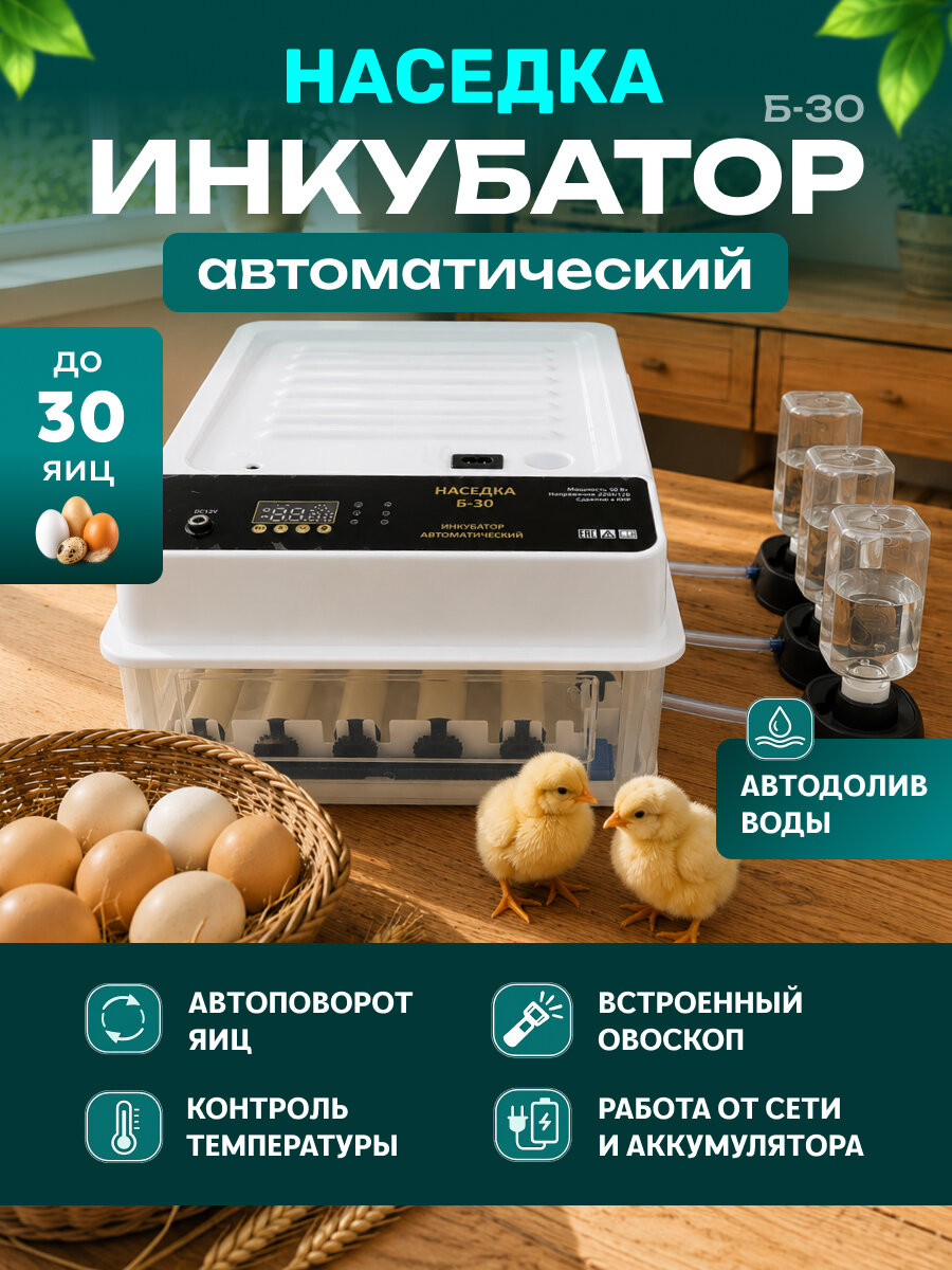 Инкубатор для яиц автоматический Наседка Б-30 с терморегулятором, овоскопом, автоповоротом, 220В/12В