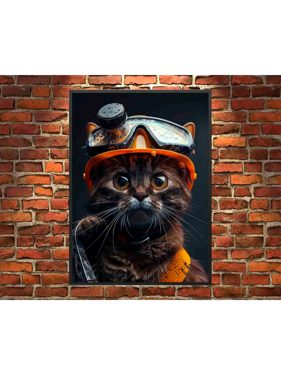 Гаванский коричневый кот-строитель 1, Плакат 30x42см