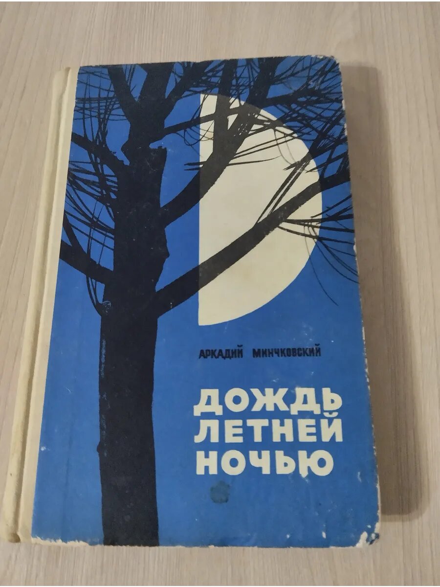 Дождь летней ночью