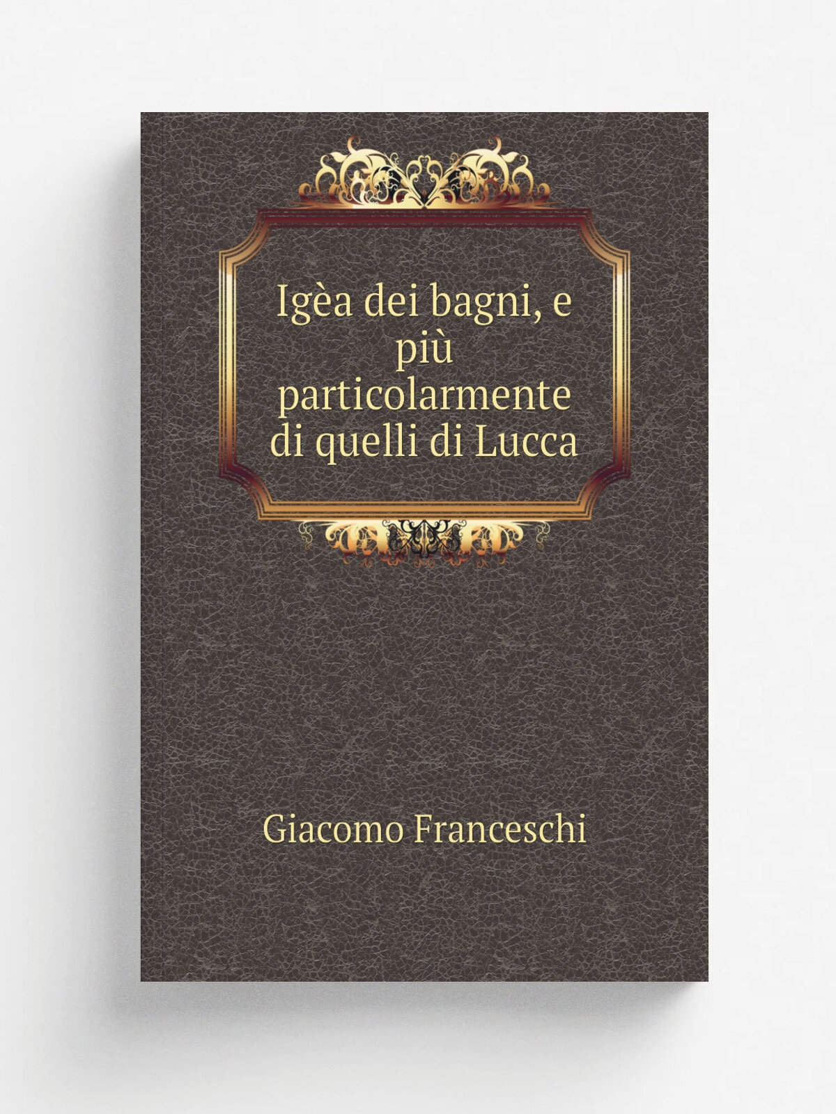 Ig.a dei bagni, e pi. particolarmente di quelli di Lucca | Giacomo Franceschi | 1815 | Bertini | Репринт