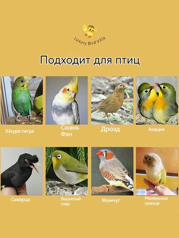Жердочка — фото 1