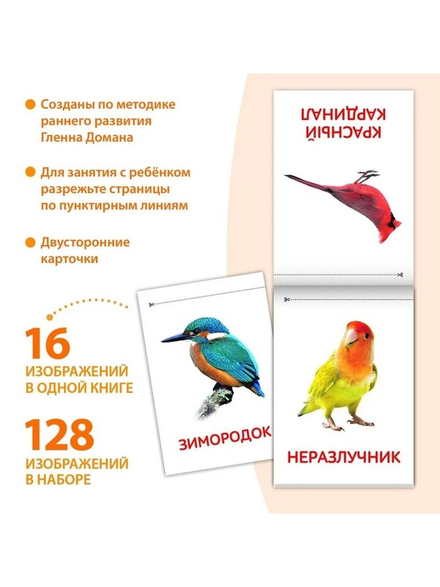 Образовательный набор для малышей: мир вокруг