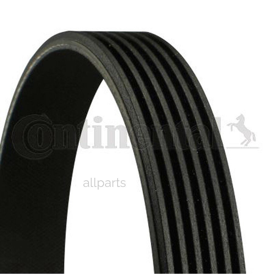 CONTINENTAL 6PK1905 ремень поликлиновой!\ Opel Astra F/G 1.6-2.0 93>/Omega 2.0-3.2/2.0/2.2DTi 98>