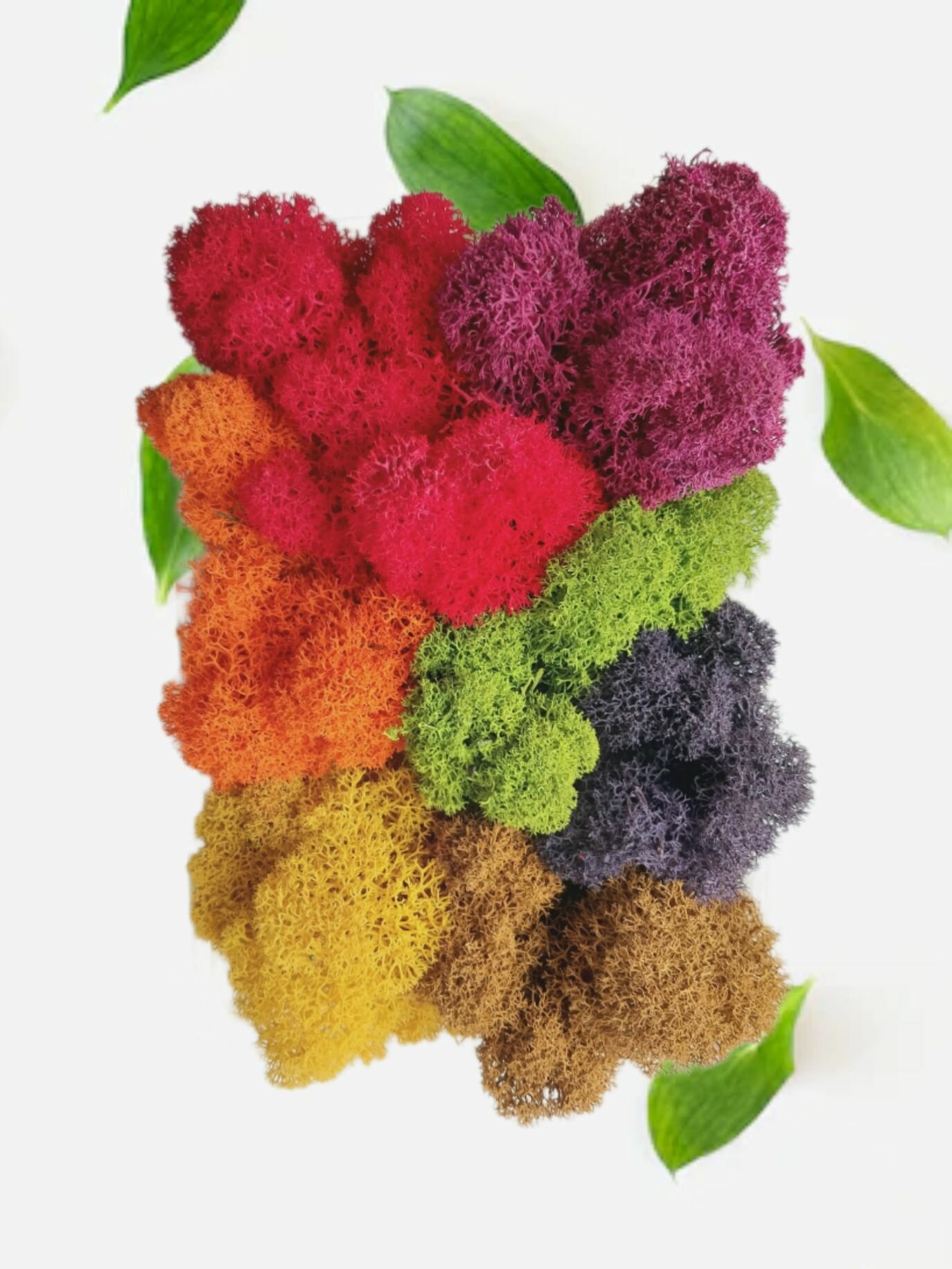 Мох стабилизированный набор - "Семицветик", 100 гр