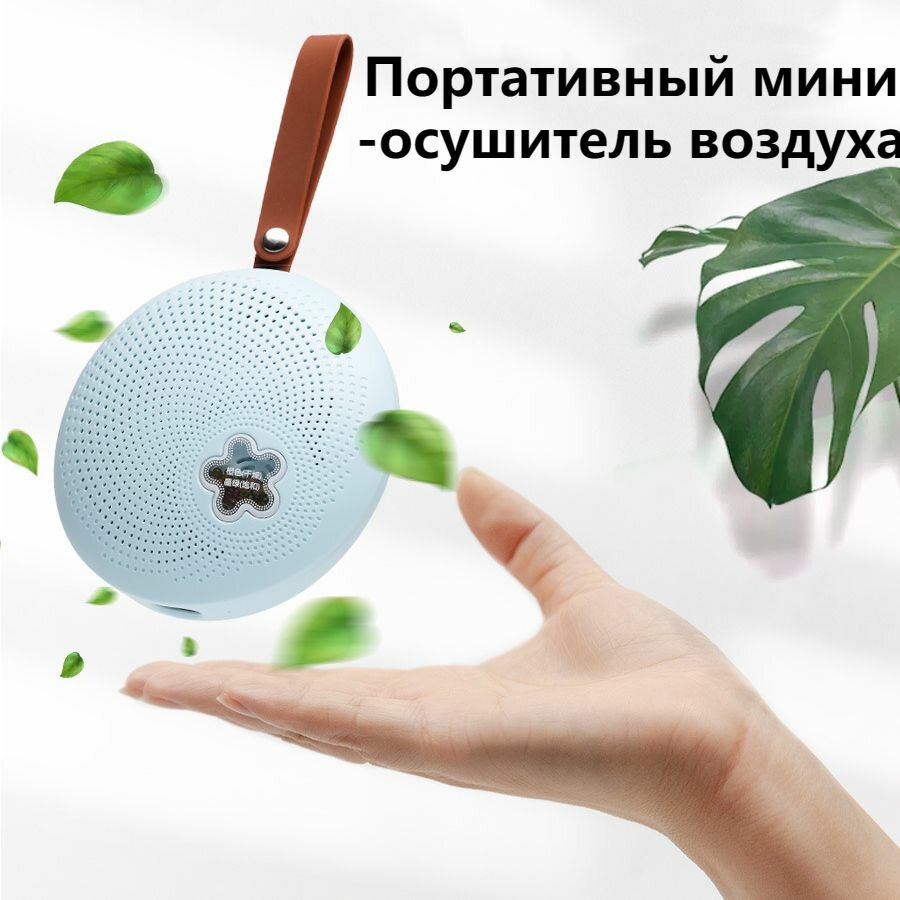 Бытовой осушитель воздуха для предотвращения роста плесени и бактерий, мини, может использоваться в автомобилях, шкафах-купе