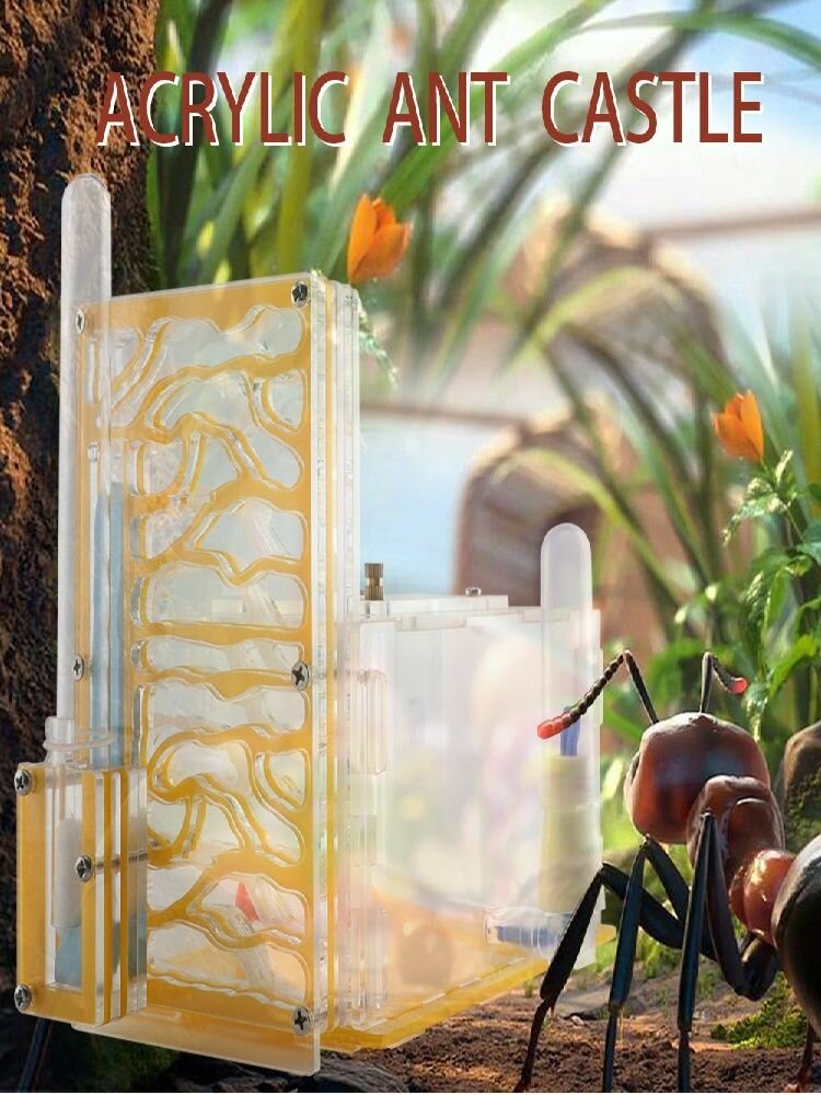 Муравьиная ферма "АнтКасл", акриловый формикарий 18.5*10*17*CM, набор для наблюдения за муравьями