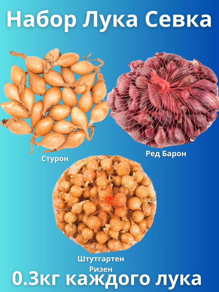 Набор Лук Севок 0.3 кг