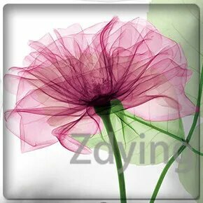 Стеклянные кабошоны для ювелирных изделий LPLWJA Розовый, 25mm, HB229