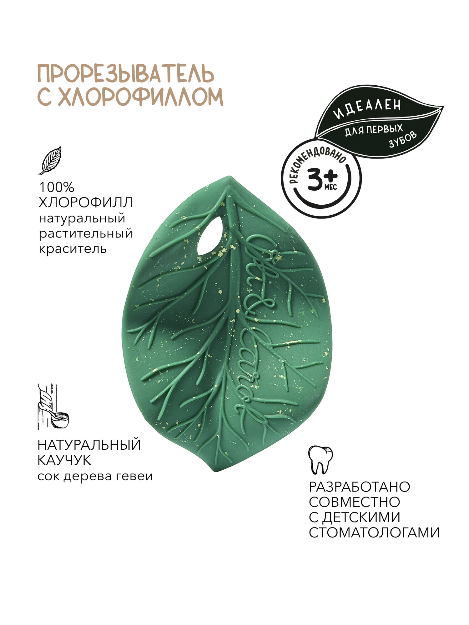 Прорезыватель для зубов детский Oli&Carol грызунок Chlorophyll Leaf